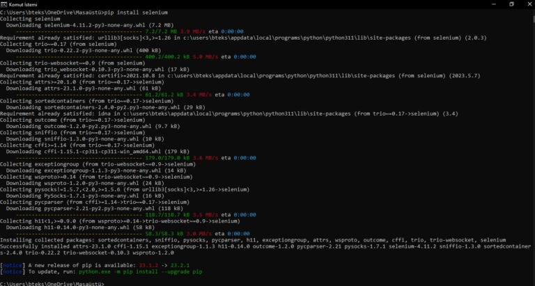 Selenium Nedir? Python ile Selenium Kullanımı - Barış Teksin