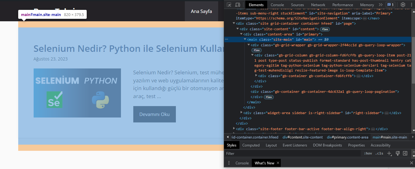 Selenium Yorum Botu - İlk Botumuzu Yazalım - Barış Teksin